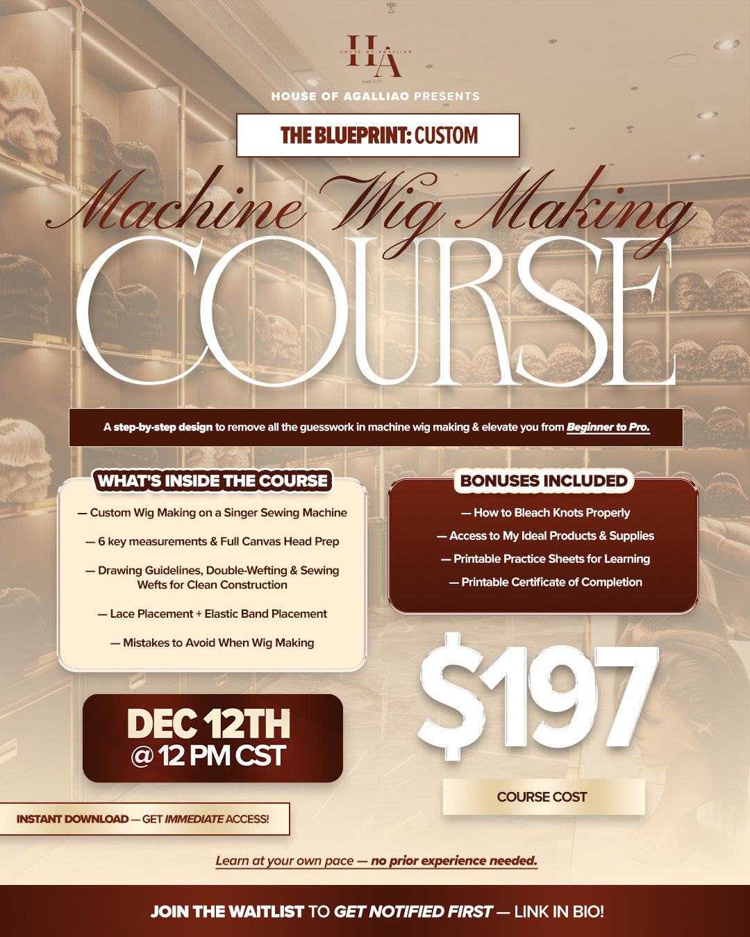 The Blueprint: Custom Wig Making Course – House of Agalliao